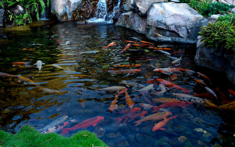 Pond Volume Calculators - PondMAXOnline