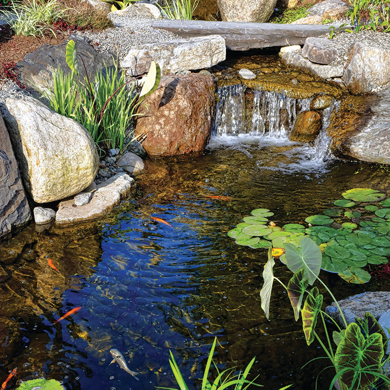 PondMAX Australia | Ponds, Pumps, Filtration, Treatment Experts